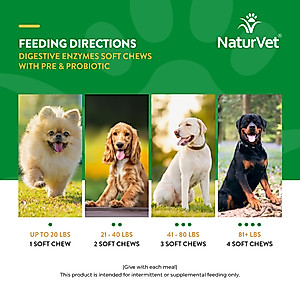 NaturVet Advanced Probiotics and Enzymes Supplement Digestive Enzymes - Plus Probiotics & Prebiotics Soft Chews, 70 Count Made in The USA with Globally Source Ingredients 70 Soft Chews