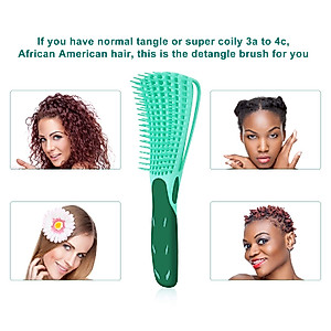2 Pack Detangling Brush for Curly Hair, ez Detangler Brush Hair Detangler, Afro Textured 3a to 4c Kinky Wavy for Wet/Dry/Long Thick Curly Hair, Exfoliating for Beautiful and Shiny Curls (Green)
