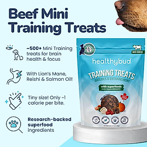 healthybud Mini Dog Training Treats - Beef Liver Soft Trainer Bites, 500+ Bits, 1 kCal per Bite, 6.5oz, Reishi, Lion’s Mane, Salmon Oil, Puppy Chews (Beef)
