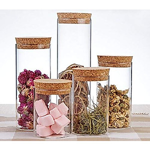 XINGZI Kitchen Storage Containers With Cork Lids Set Of 2 300ml/10oz Durable Refillable Clear Glass Food Canisters Storage Container Vial Jars For Tea Coffee Flower Dry Goods Pantry Organization