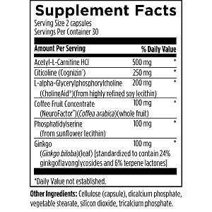 Designs for Health Brain Vitale with Cognizin Citicoline - 'Nootropic' Supplement to Help Support Cognition, Mood + Memory with GPC Choline, Ginkgo + Acetyl L Carnitine HCL (60 Capsules)