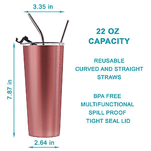 Fancyfams She Believed She Could So She Did, 22 oz Stainless Steel Tumbler, Congratulations Gifts, College Graduation Gifts for Her, Encouraging Gifts for Women (22oz - Rose Gold)