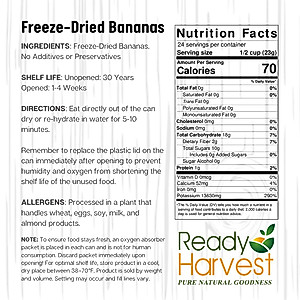 Ready Harvest Freeze Dried Bananas Freeze Dried Fruit Freeze Dried Food Gluten Free Snacks, Fruit Snacks, Canned Food, Bug Out Bag, Camping Essentials, Veggie Snacks #10 Can, 25-year shelf life 521g