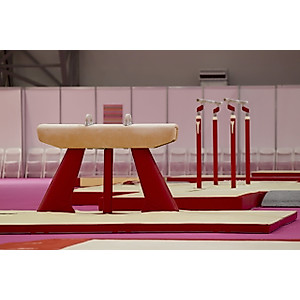 Games of the XXX Olympiad: Gymnastics Going for the Gold