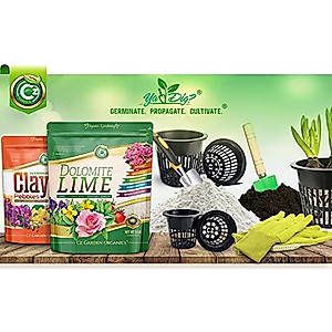 Organic Dolomite Lime - Made in USA Garden Soil Amendment Fertilizer for Plants. Calcium/Magnesium Additive. Safely Raise & Stabilize pH - Earthbox. 100% Water Soluble.
