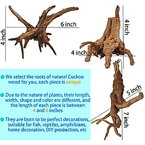 Vmiapxo 8 Pack Natural Driftwood for Aquarium, Aquarium Decor Spider Wood Freshwater Fish Tank Reptile Driftwood Branch (4"- 6")