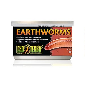 Exo Terra Specialty Reptile Food, Canned Earthworms for Reptiles