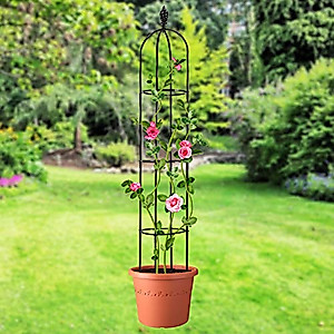 Lalahoni Garden Trellis for Climbing Plants Outdoor, Rustproof Plant Trellis Support for Potted Climbing Flowers Vegetable Vine Indoor Outdoor, 6ft Tall Obelisk Rose Garden Trellis Black 1pc