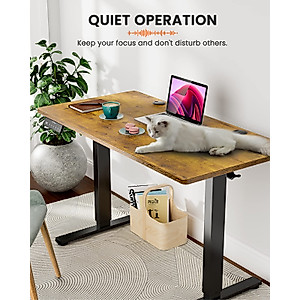 Ergear Electric Standing Desk Adjustable Height, 55 x 24 Inches Sit Stand Up Desk with 3 Memory Presets, Home Office Desk, for Home Office