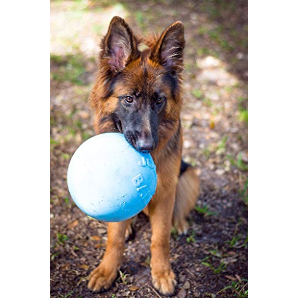 Jolly Pets Bounce-n-Play Dog Toy Ball, 8 Inches/Large, Blueberry, (Model: 2508 BB)