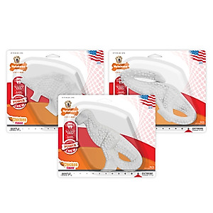 1 Pack Nylabone Durable Dental Dinosaur Chew Toy (Dinosaur Shape Varies), Large