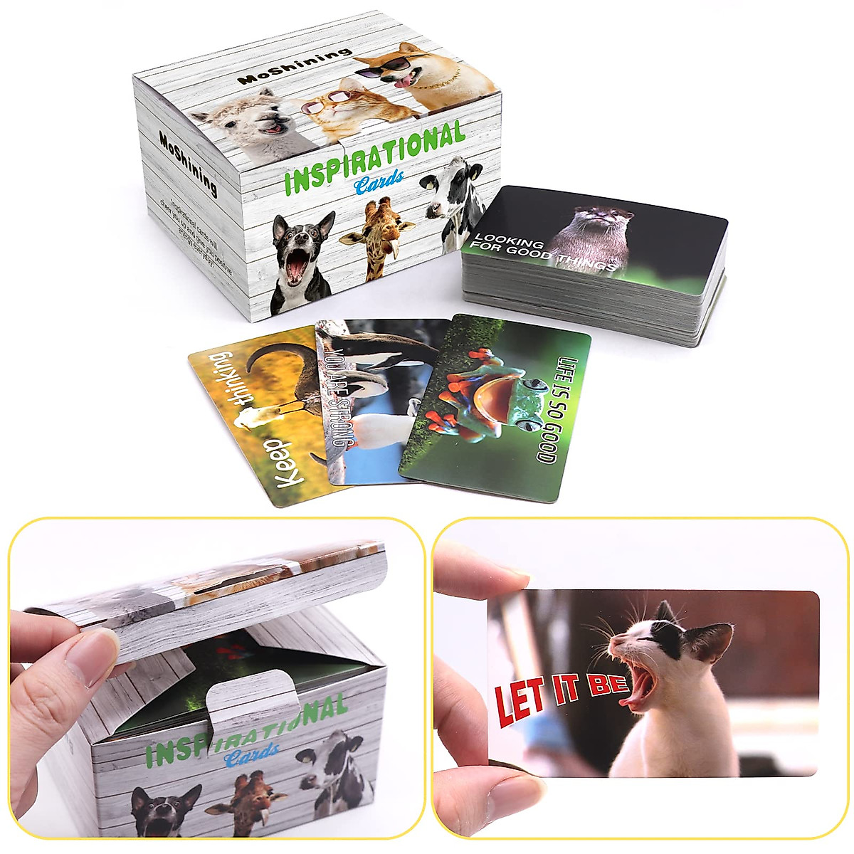 Fun Animal Motivational Quote Cards 360 Counts Encouragement Inspirational Kindness Appreciation Gratitude Business Cards Size Kindness Cards Gifts for Employees Students Teachers Kids…