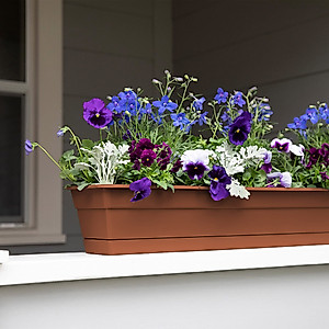 Bloem Dura Cotta Window Box Planter: 30" - Terra Cotta - Large Box with Tray, Weatherproof Resin Box, Removable Tray for Indoor & Outdoor Use, Gardening, 4 Gallon Capacity