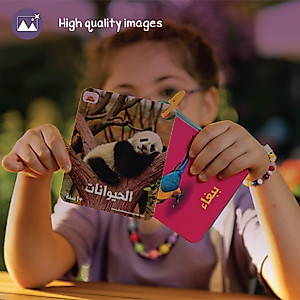 Zedne Arabic Alphabet Flash Cards - 48 Pcs Double-Sided Flashcards (96 Images) with Rings Educational Learning Toys for kids Birthday Preschool Gifts (Alphabet, Numbers, Animals, Fruit)