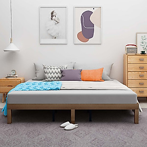 Anwick Queen Size Wood Platform Bed Frame, Classic 12 Inch High Wooden Bed with 8 Oak Legs and 6 Metal Legs,No Box Spring Needed,Easy Assembly (Queen)