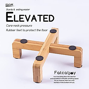 Fatcatjoy Cat Slow Feeder Bowl Ceramic Elevated Plate Cat Puzzle Feeder Improve Vomiting Dog Food Bowls Slow Feeder Easy to Clean(with Brush)