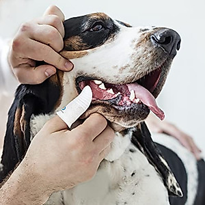 MoiiLavin Pet Toothbrush for Small to Large Dogs Cats,Soft High Grade Finger Toothbrush,Teeth Oral Cleaning,Dental Care, 1 Set for Two Fingers White (6)