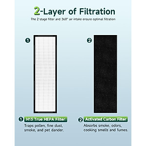 2-Pack FLT4825 Filter B Replacement Compatible with AC4825E, AC4850PT, AC4900, AC4300, H13 True HEPA Filter with Pet Pure Treatment, Replace Model FLT4825&FLT4850PT