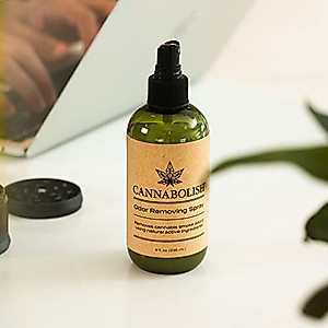 Cannabolish Wintergreen Smoke Odor Eliminator Spray and Air Freshener, 8 fl. oz, Natural Ingredients (Pack of 2)