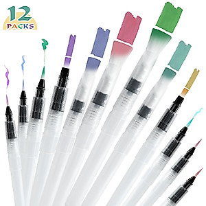 Junreox 12Pcs Watercolor Brush Pens, Premium Water Brush Pen Leakproof with Assorted Tips, Water Brush Pens for Watercolor, Refillable Watercolor Pens, Watercolor Paint Pens, Arts Value Set