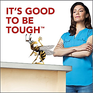 Raid Wasp Hornet Killer Spray (14 Ounce (Pack of 4))