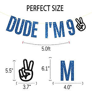 Dill-Dall Dude I'm 9 Birthday Banner, Level 9 Unlocked, 9 Year Old Hanging Sign, Kid Boys Happy 9th Birthday Party Decorations Supplies