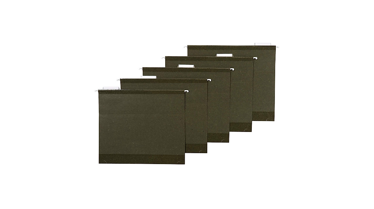 Amazon Basics Heavy-Duty Hanging File, 25-Pack