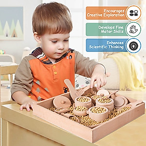 Montessori Sensory Bin Tools Toy with Wooden Box for Toddlers, Pretend Play Dish Toys Wooden Bowls Scoop Tongs Transfer Work Pouring Set, Kids Fine Motor Skills Development