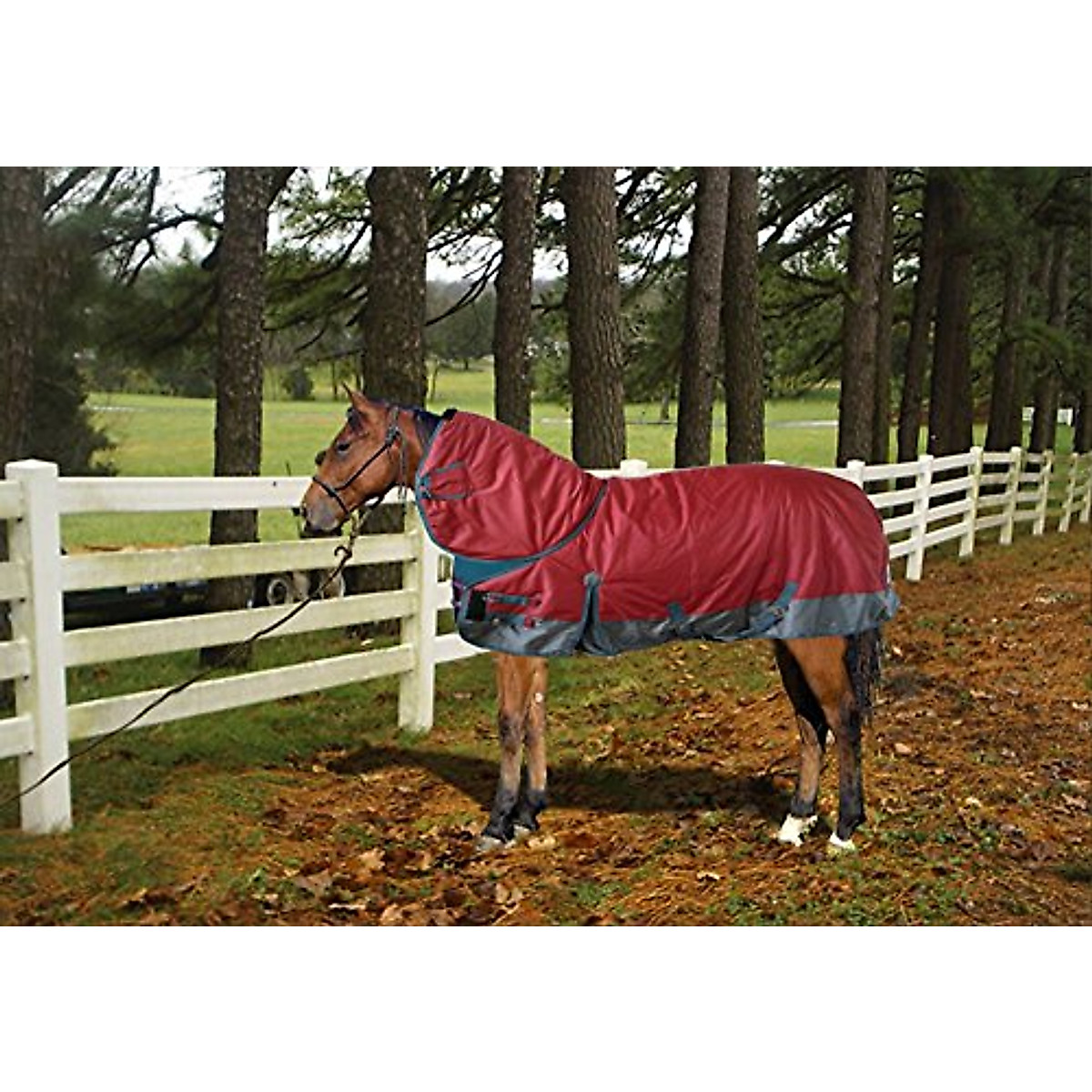 Turnout 1680D Horse Winter Waterproof with Neck Cover - Horse Blanket 001 - Size from 69" to 83" (75")