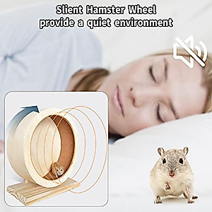 BNOSDM Wooden Hamster Exercise Wheel Silent Mouse Running Spinner Wheel Toy Wood Non-Slip Wheel with Seesaw Cage Accessories for Syrian Hamsters Mice Dwarf Rats Guinea Pigs Gerbils Small Pets