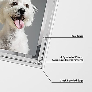 HORLIMER 4x6 Picture Frame Set of 2, Glass Photo Frame 4 by 6 for Tabletop, Horizontally or Vertically