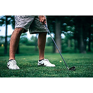 ProTurf Perennial Ryegrass Fine Lawn Seed by Eretz (8oz) - CHOOSE SIZE! Premium Willamette Valley, Oregon Grown Grass Seed