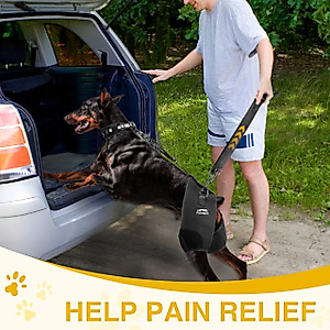 Furtent Hip Support Brace with Low Back Pain, Weakness, Dog Sling for Large Dogs The Hind Limbs of Elderly Dogs, Hip Brace for Dogs Relieve Pain and Warm Hip Joint (Large)