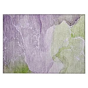 Addison Rugs Chantille ACN517 Purple 1'8" x 2'6 Indoor Outdoor Area Rug, Stain Resistant, Machine Washable, Non Shedding, Bedroom, Living Room, Dining Room, Kitchen Rug