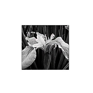 YATUNINK Compatible Ink Cartridge Replacement for Brother LC61 LC-61 Ink Cartridge Compatible for Brother MFC-295-CN MFC-495-CW MFC-5890-CN MFC-6490-CW MFC-795-CW MFC-J220 (2BK / 1C / 1M / 1Y,5 Pack)