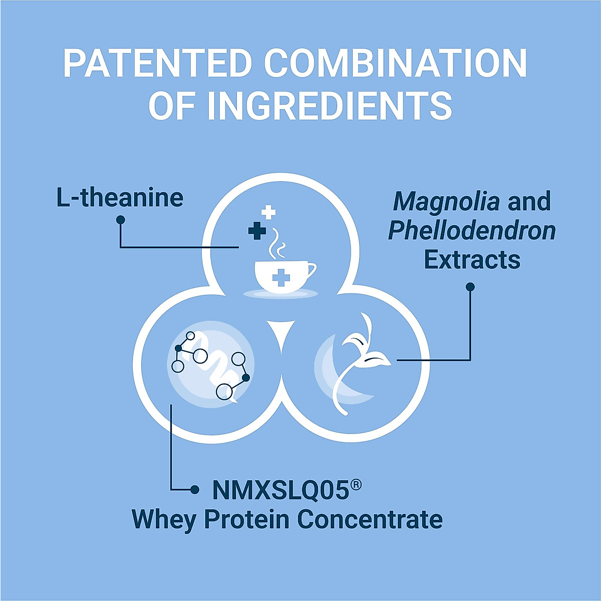 Nutramax Solliquin Calming Behavioral Health Supplement for Large Dogs - with L-Theanine, Magnolia/Phellodendron, and Whey Protein Concentrate, 75 Soft Chews