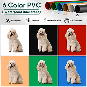 Daguerre 24"x24" Foldable Photo Studio Light Box, Bi-Color Dimmable Shooting Tent with 240 LED Lights, 3000-5500K - Includes 6 Color Backdrops for Professional Photography