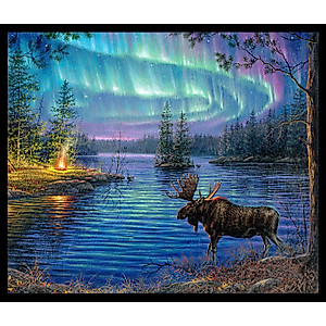 Moose Fabric Panel Northern Lights from Elizabeth Studios 100% Cotton