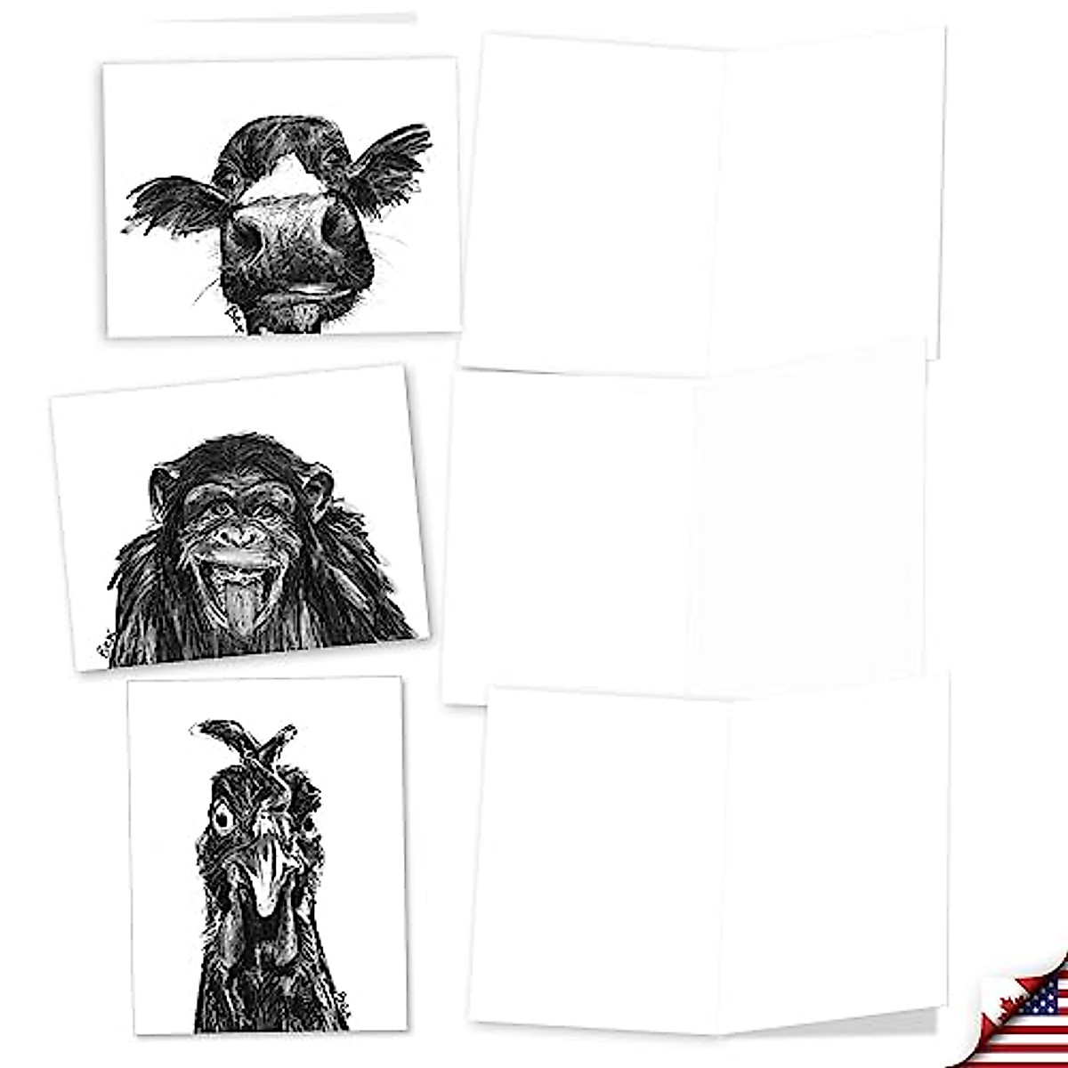 The Best Card Company - 10 Assorted Blank All Occasions Notecards Boxed Set 4 x 5.12 Inch with Envelopes (10 Designs, 1 Each) Boxed Assorted Kid Cards of Pets - CHARCOAL ANIMALS M2956OCB