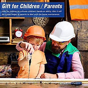 Home/Auto Repair Tool Kit, PTSTEL 179 Piece General Household Hand Tool Set For Apartment, Garage, Dorm and Office Use With Solid Carrying Tool Box