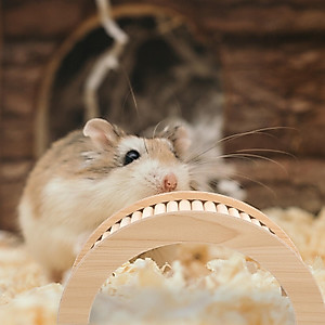 POPETPOP Climbing Toys Rabbit Toy Rat Bridge Toy Hamster Wood Bridge Rat Toys Hamster Climbing Bridge Chinchilla Bridge Chicken coop ramp Hamster Bridge Arch Bridge Ladder Wooden