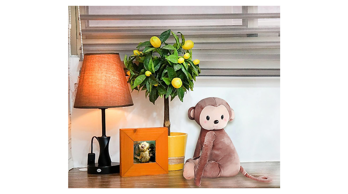 Koltose by Mash 16-Inch Plush Monkey Toy for Kids & Toddlers