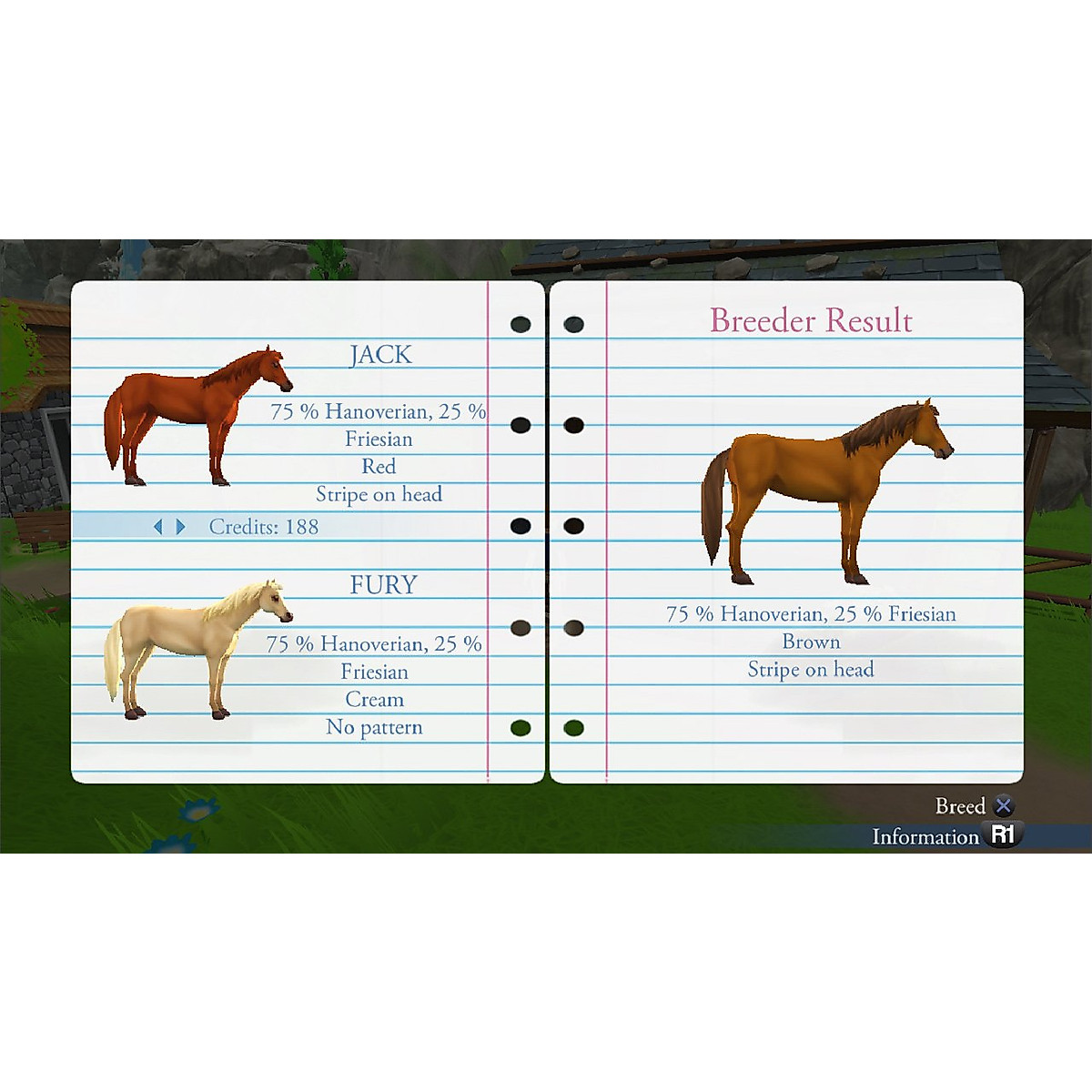 My Riding Stables - Life with Horses - PlayStation 4