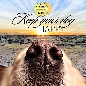 Dog Balm - Natural Paw and Nose Balm for Dogs – Safe if Licked – Vet Formulated Paw Balm - Dog Moisturizer for Paws and Nose - Made in USA