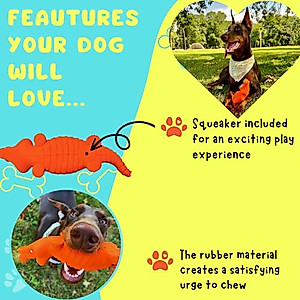 Dog Toys for Aggressive Chewers, Fun Dog Toy for Small, Medium & Large Breed Dogs, Durable Chew Toys That All Dogs & Puppies Will Love, Indestructible Dog Toy with Squeaker