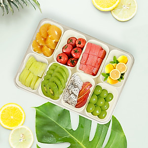Atildp Snackle Box Container: Divided Serving Tray with Lid and Handle, Includes 8 Compartments for Dry Fruit Snack Box, Portable Fruit Tray Great for Kitchen, Party, Picnic, Travel