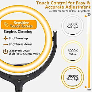 LUXSURE Selfie Ring Light with Phone Tripod Stand,Tripod for iPhone/iPad with Ring Lights,10" LED Touch Control Circle Lighting with Phone Holder for Video Recording/YouTube/Tiktok/Live Stream/Makeup