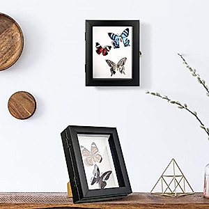 2 Pcs Insect Display Case Collection Shadow Boxes Butterfly Box with Clear Top EVA Foam Pinning Board and 300 Pcs 3 Sizes Insect Pins Insect Pinning Kit for Specimen, 7.87 x 6.3 x 2.05 Inch (Black)