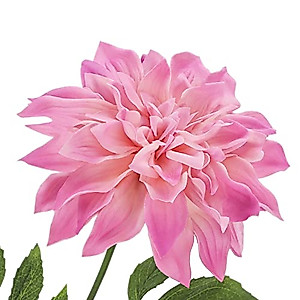 Michaels Hot Pink Dahlia Stem by Ashland®