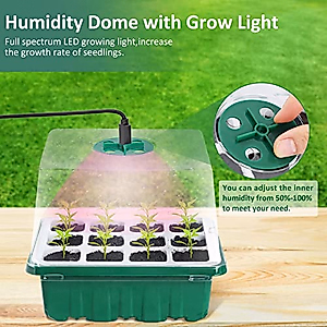 Rarello 3 Packs Seed Starter Tray with Grow Light,Reusable Pop-Out Seed Starter Kit,36 Cells Seedling Starter Trays with Humidity Domes,Indoor Gardening Plant Germination Trays for Seeds Starting